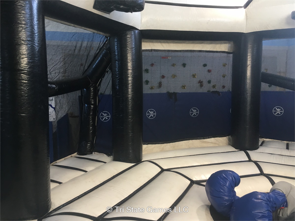 Sports Arena 5 in 1 Extreme / Gladiator Joust - Rental in West Kentucky ...